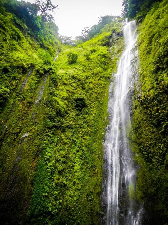 San Ramon Waterfalls - Ometepe Island, Nicarauga