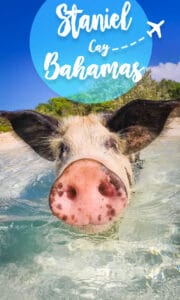2025 Complete Staniel Cay Guide | Exuma Cays, Bahamas