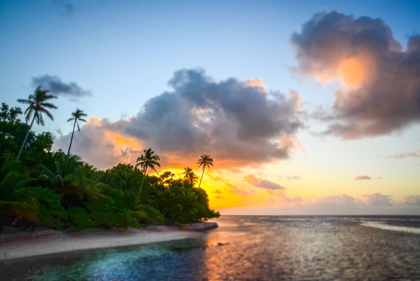 5 Reasons To Visit Wakatobi Indonesia