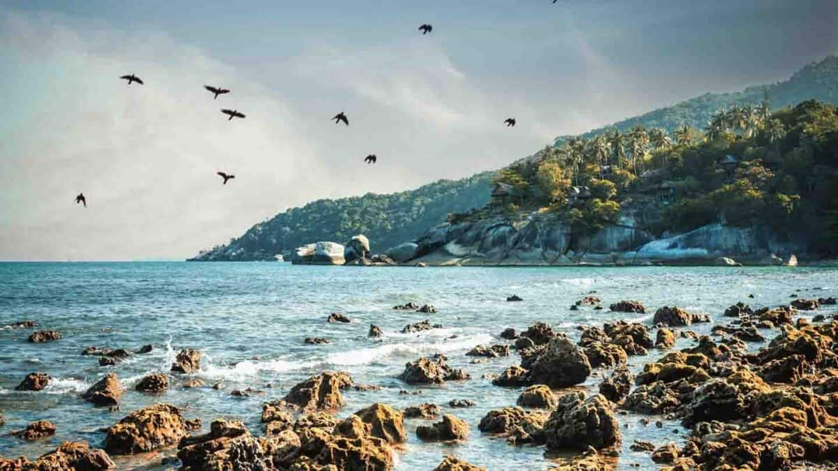 15 Best Beaches In Koh Phangan Guide & Hidden Gems
