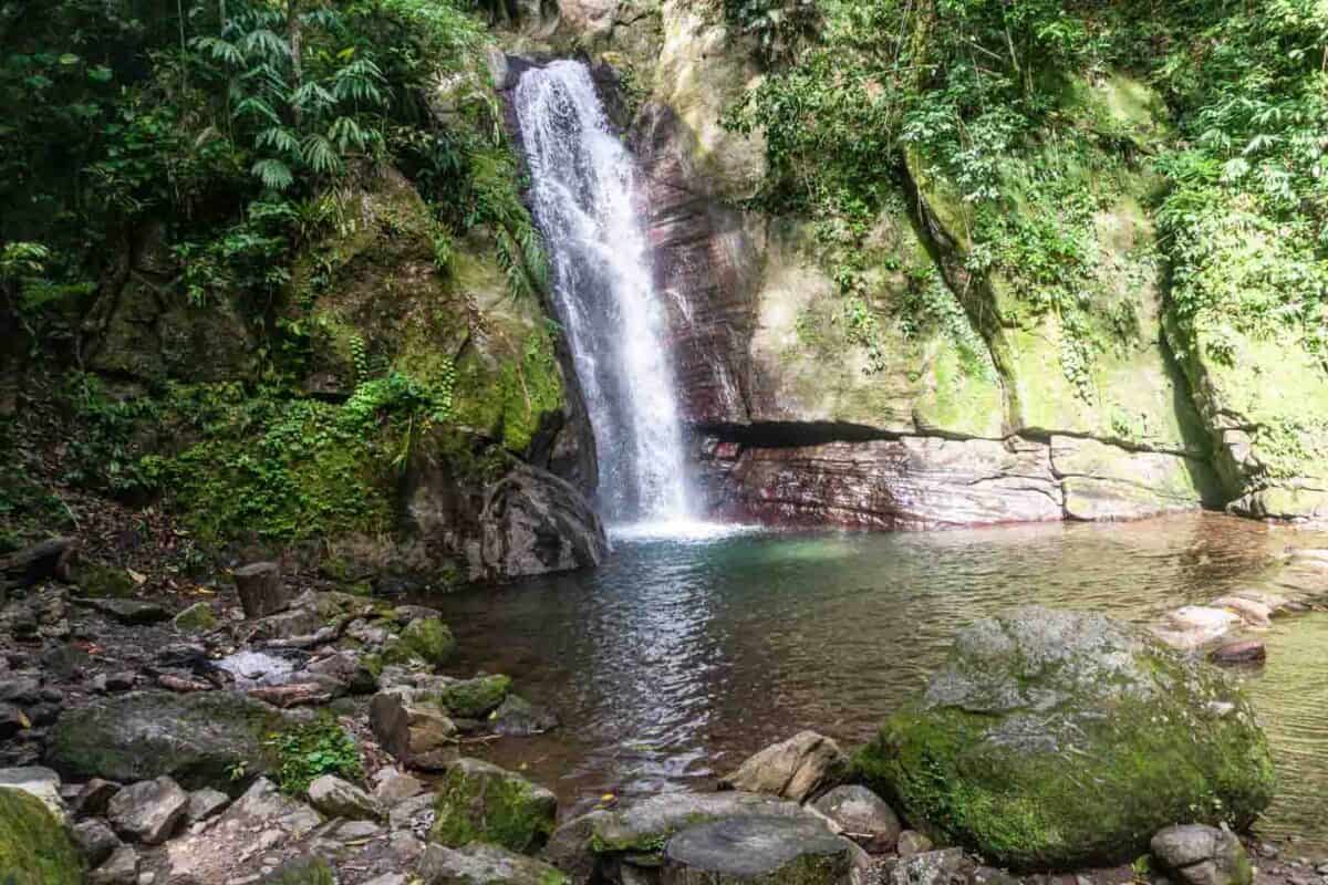 8 Must Visit Waterfalls In Jamaica - Adventure Guide