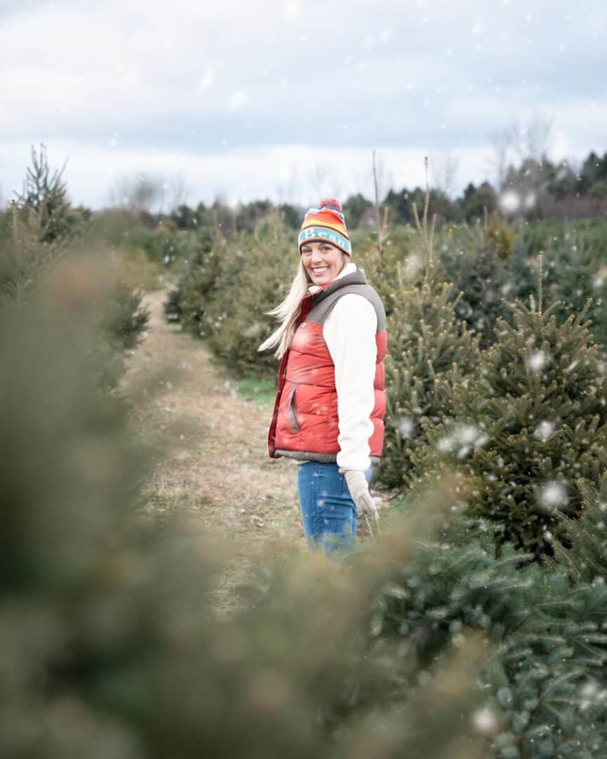 11 Christmas Tree Farms In Wisconsin - Cut Your Christmas Tree