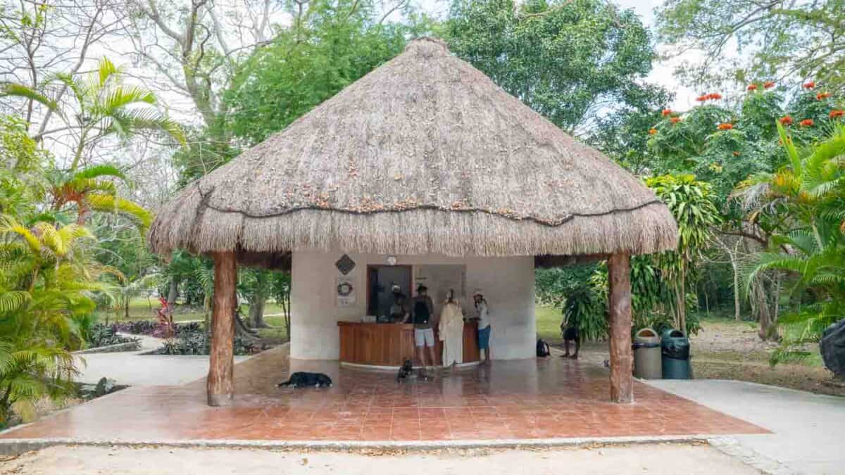 Muyil Mayan Ruins - Everything You Need To Know Before
