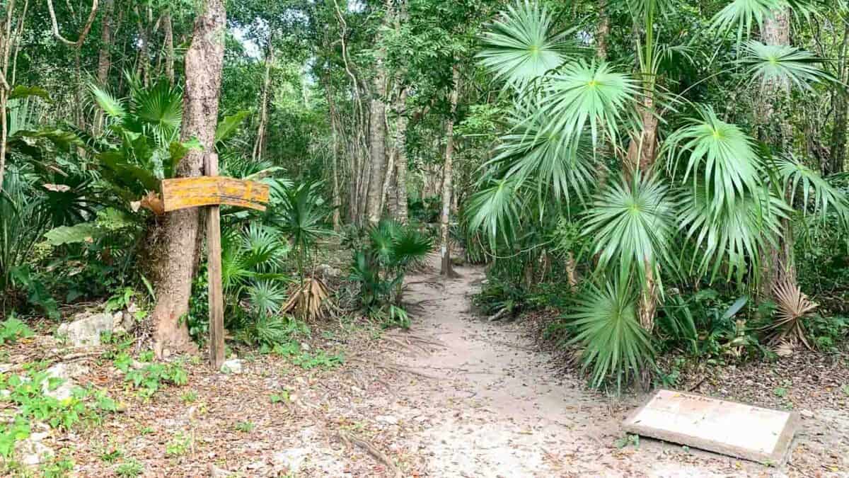 Muyil Mayan Ruins - Everything You Need To Know Before