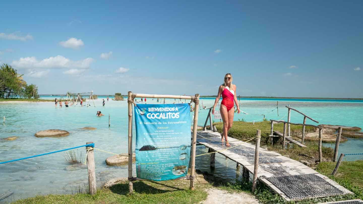 Cenote Cocalitos Bacalar | Everything You Need To Know!