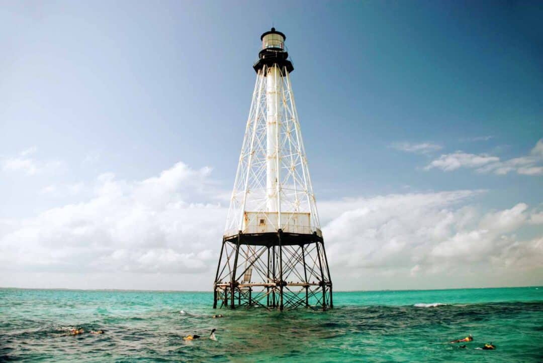 Top 18 Best Things To Do In Islamorada
