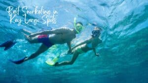 Key Largo Snorkeling: 10 Best Snorkel Spots
