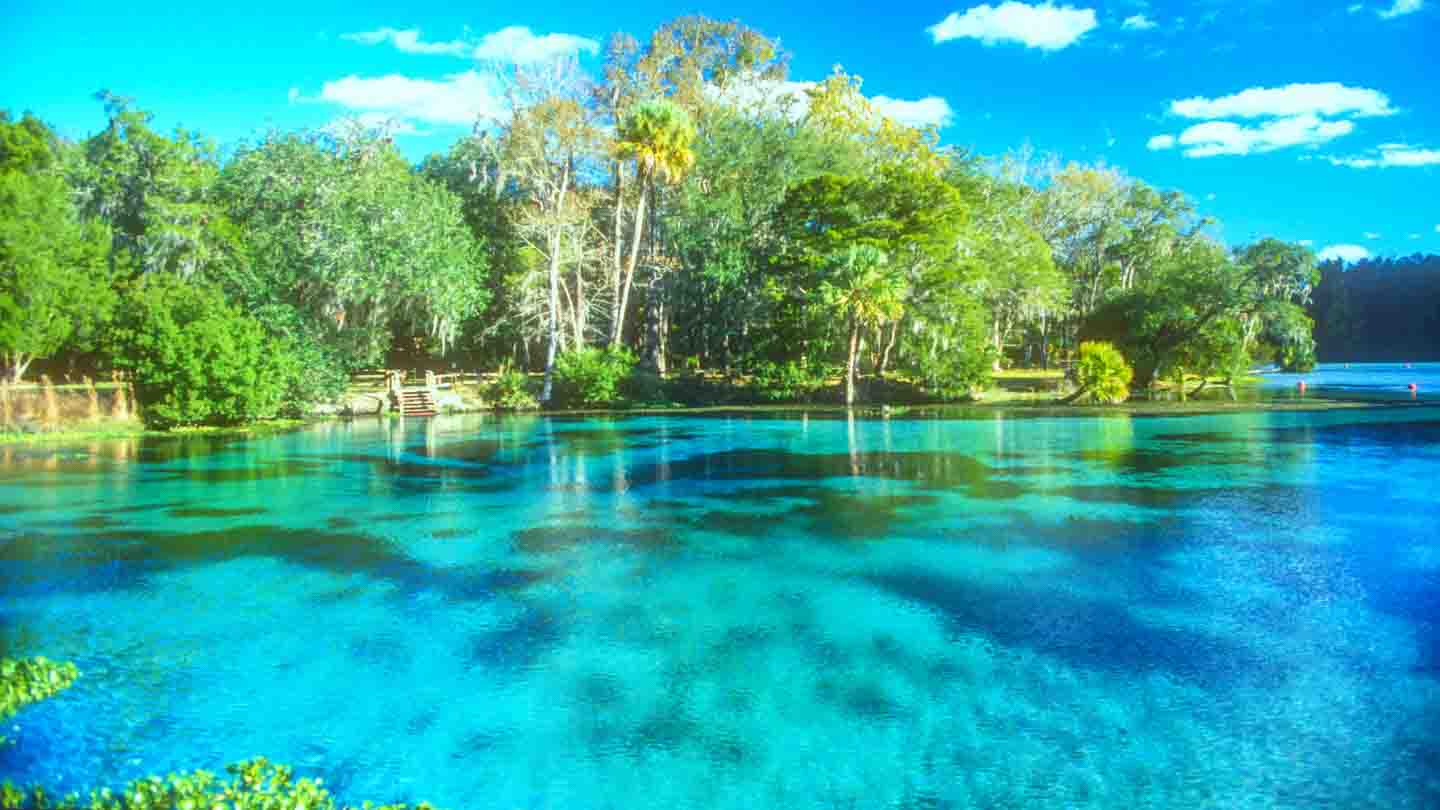 The Best Natural Freshwater Springs In Florida