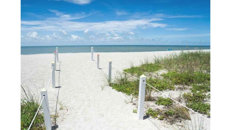 Top 14 Best White Sand Beaches In Florida