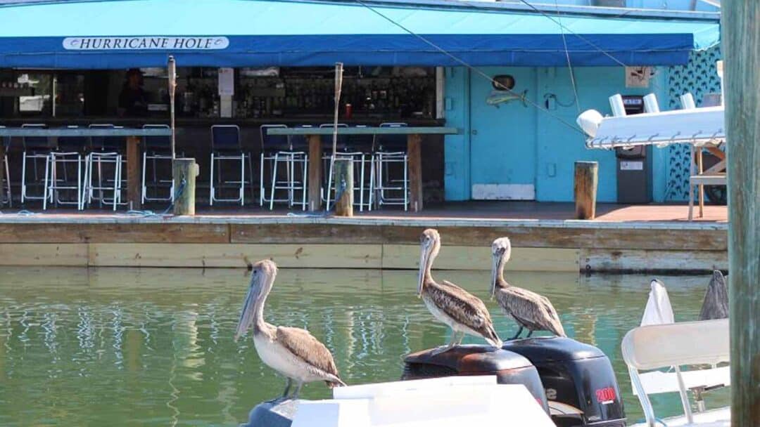 Best Key West Restaurants On The Water - Dinner With A View