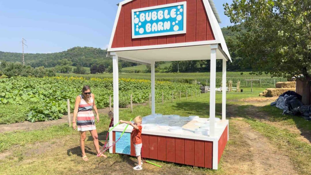 Midwest Must Visit - Ferguson's Apple Orchard In Galesville, WI