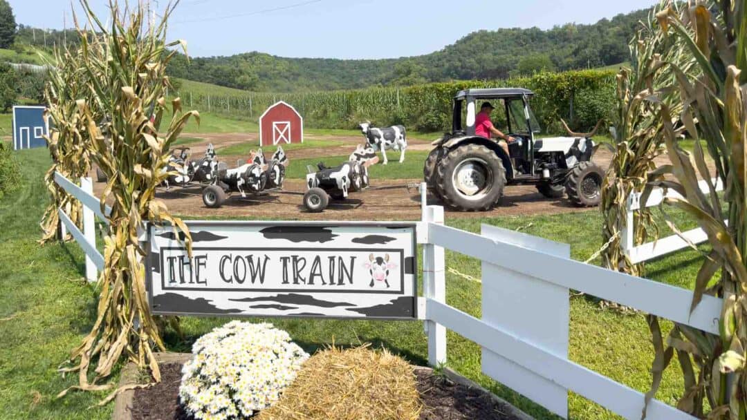 Midwest Must Visit - Ferguson's Apple Orchard In Galesville, WI